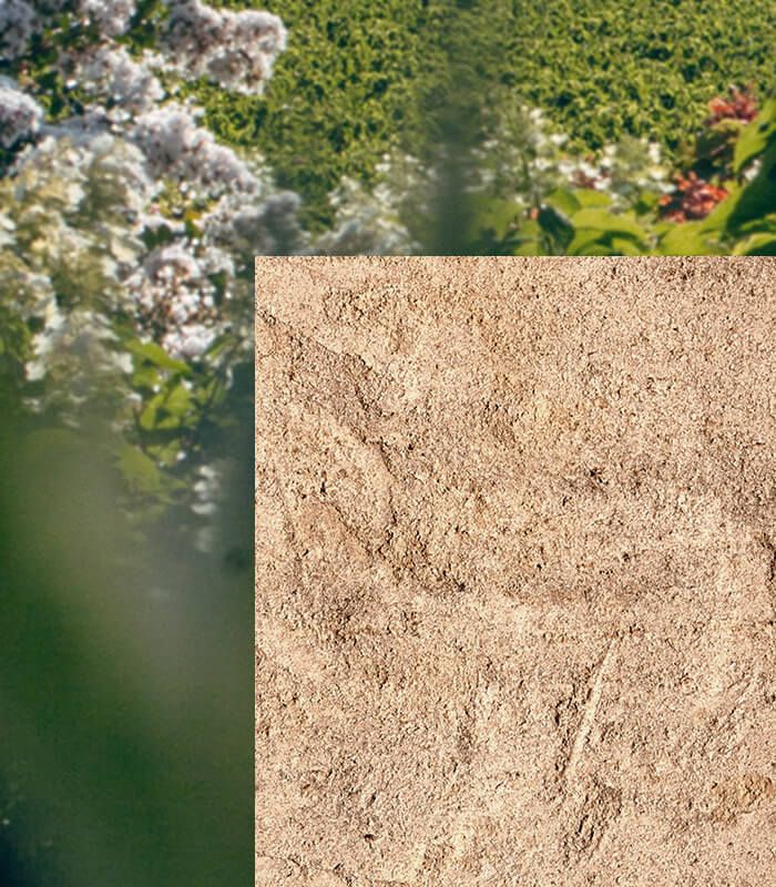 Terroir - Chateau Canon